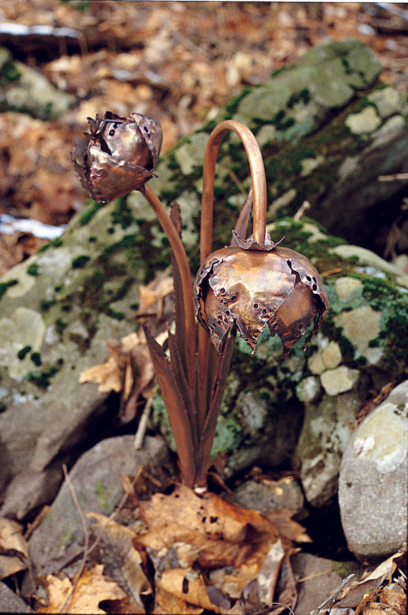 Luxuriant w/ Bud LB6-18 – Escort Lighting