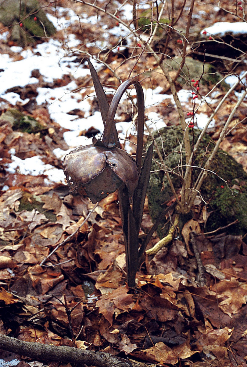 Luxuriant LS6-18 – Escort Lighting