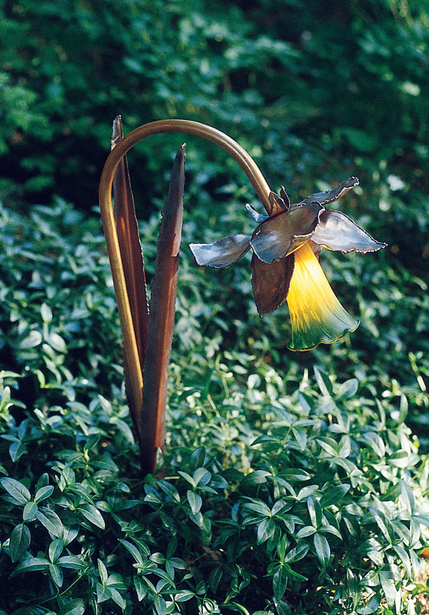 Narcissus NAR18 – Escort Lighting