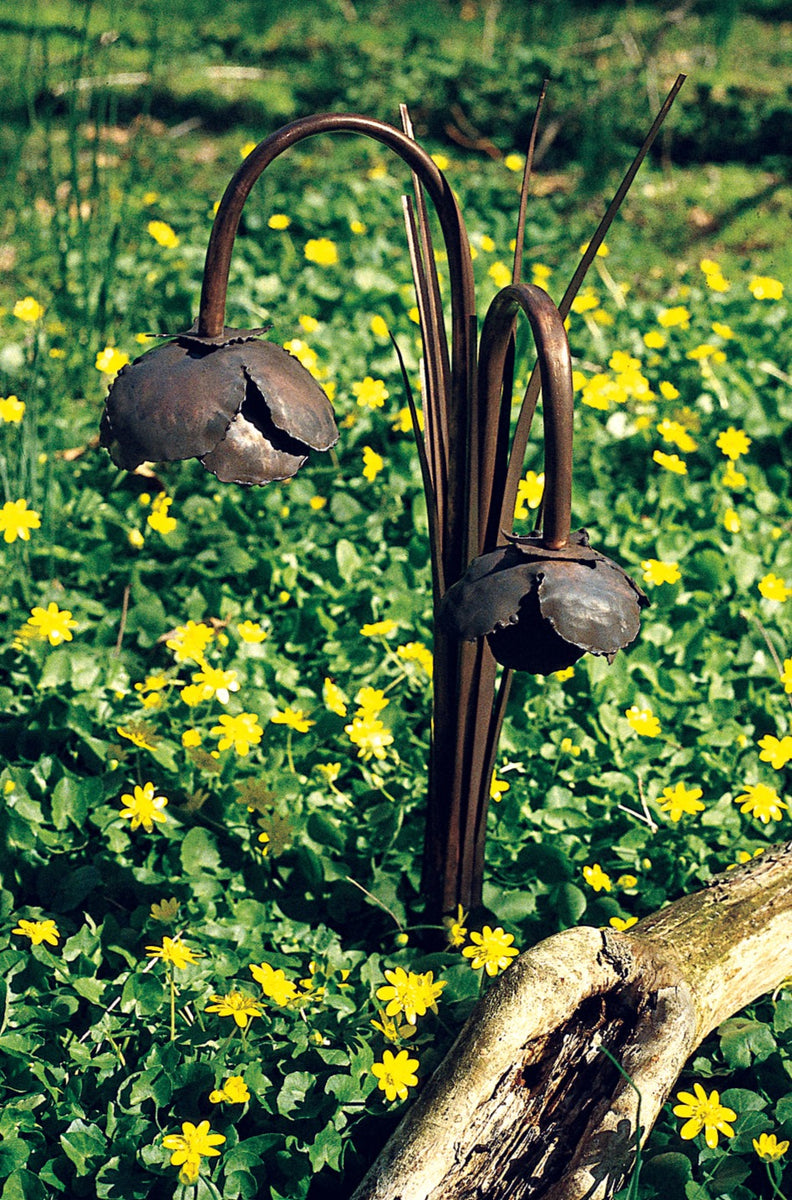 Pitcher Plant PPD8-18 – Escort Lighting