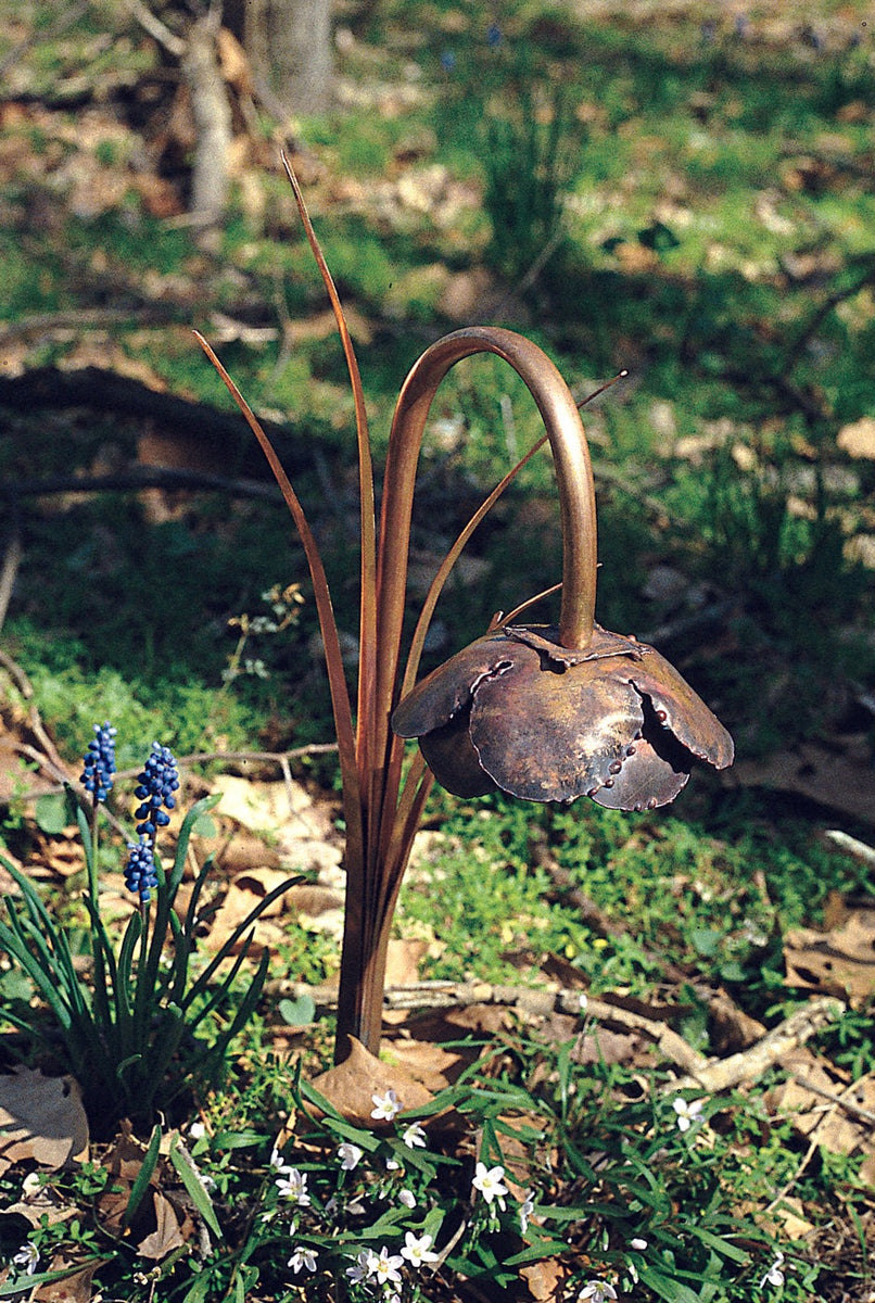 Pitcher Plant PPS8-18 – Escort Lighting